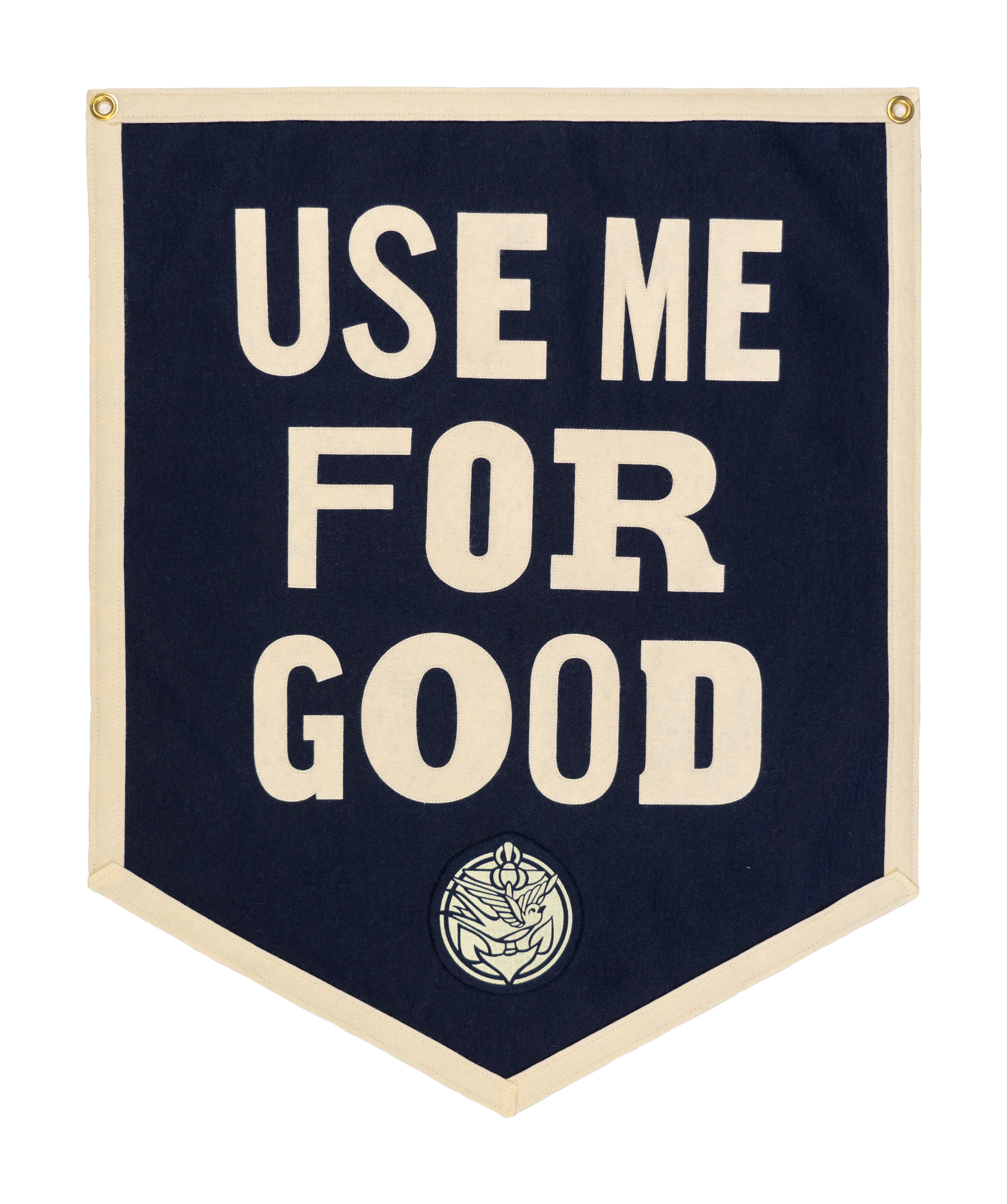 Use Me For Good Banner | Jason Isbell x Oxford Pennant