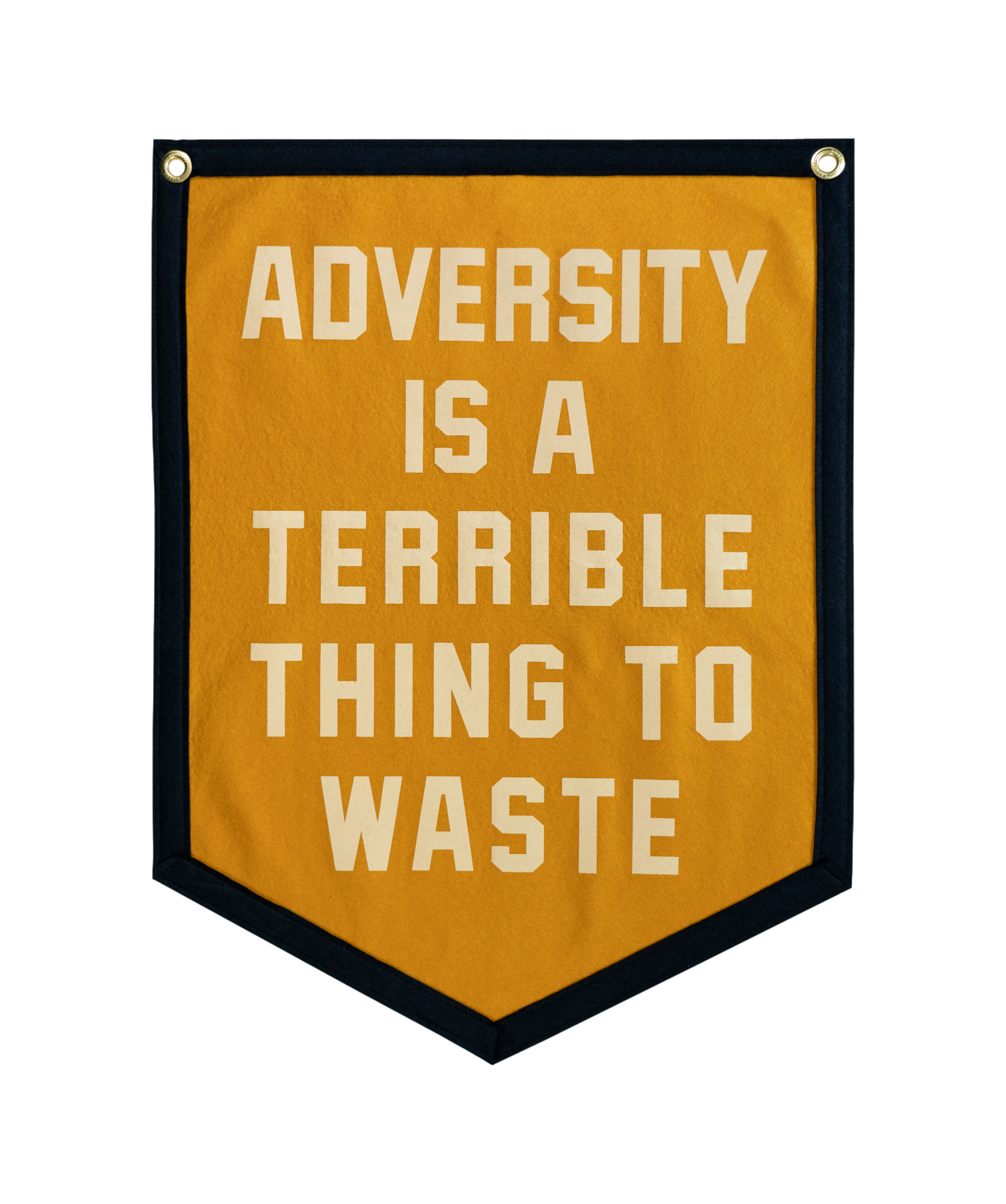 Adversity Is A Terrible Thing To Waste Camp Flag | Unreasonable ...