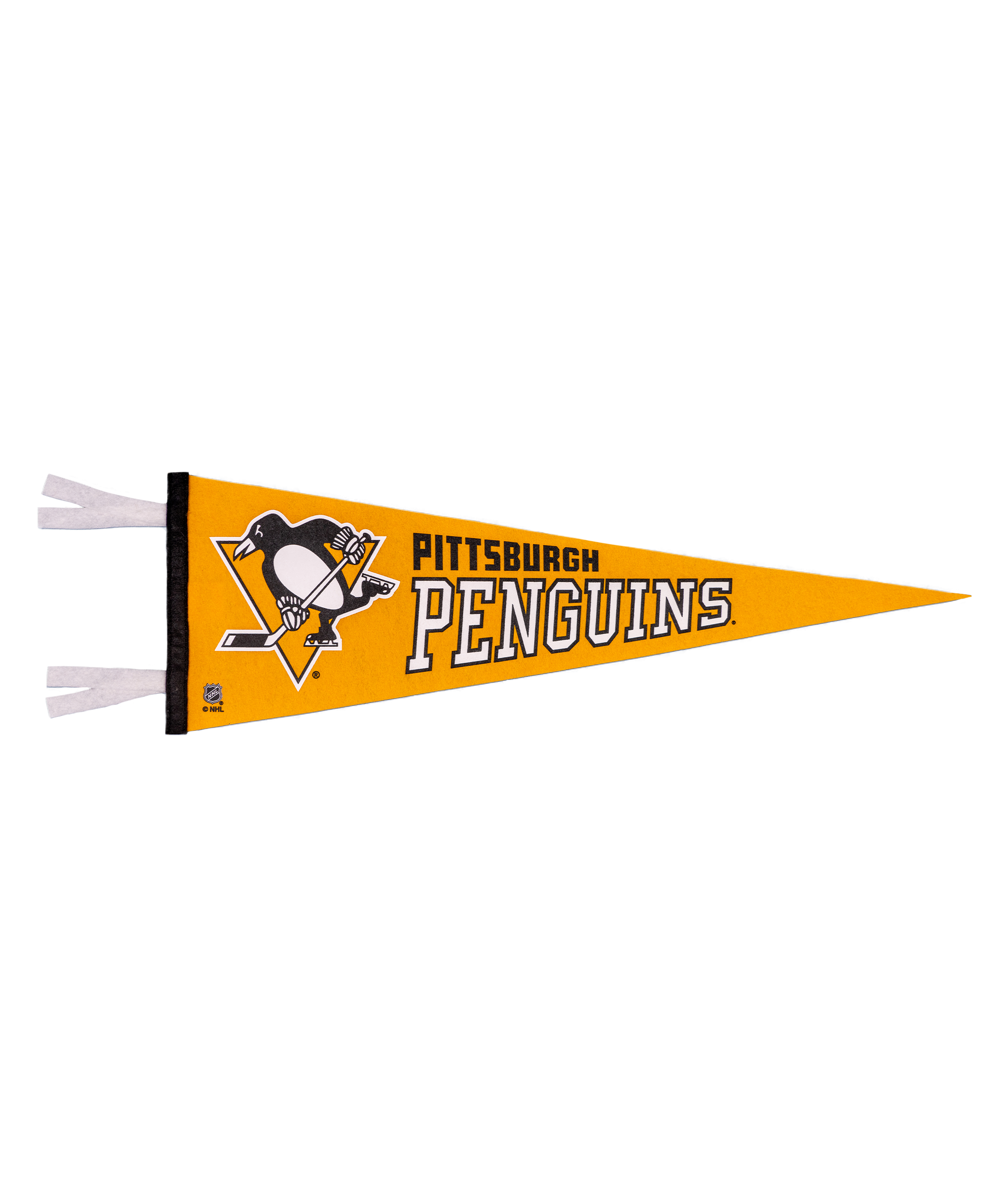 Pittsburgh Pens Borders Rutger McGroarty's NHL Debut A Rare Bright